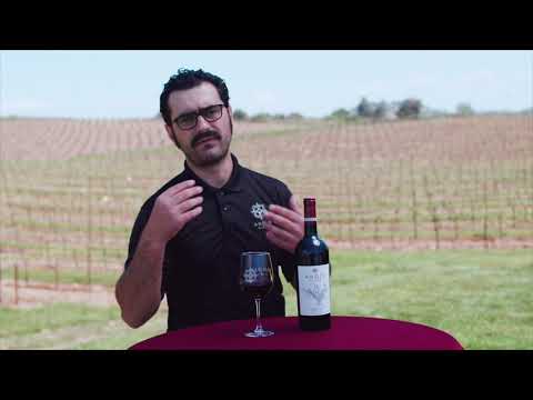 Andis Old Vine Zinfandel, Distasio Vineyard Virtual Wine Tasting