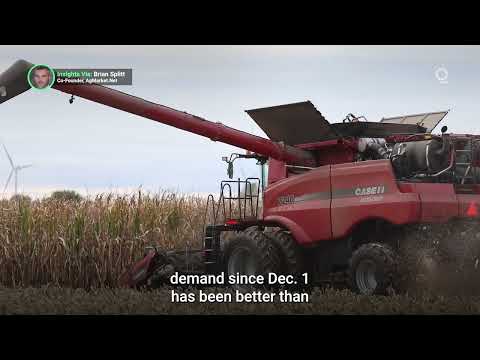 USDA Report Has Grain Markets Concerned | Presented by CME Group
