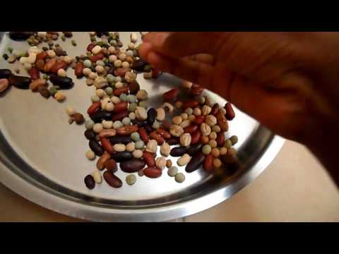the process of hand-picking
