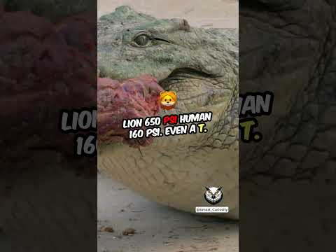 The Animal With the STRONGEST Bite on Earth! #info #fyp