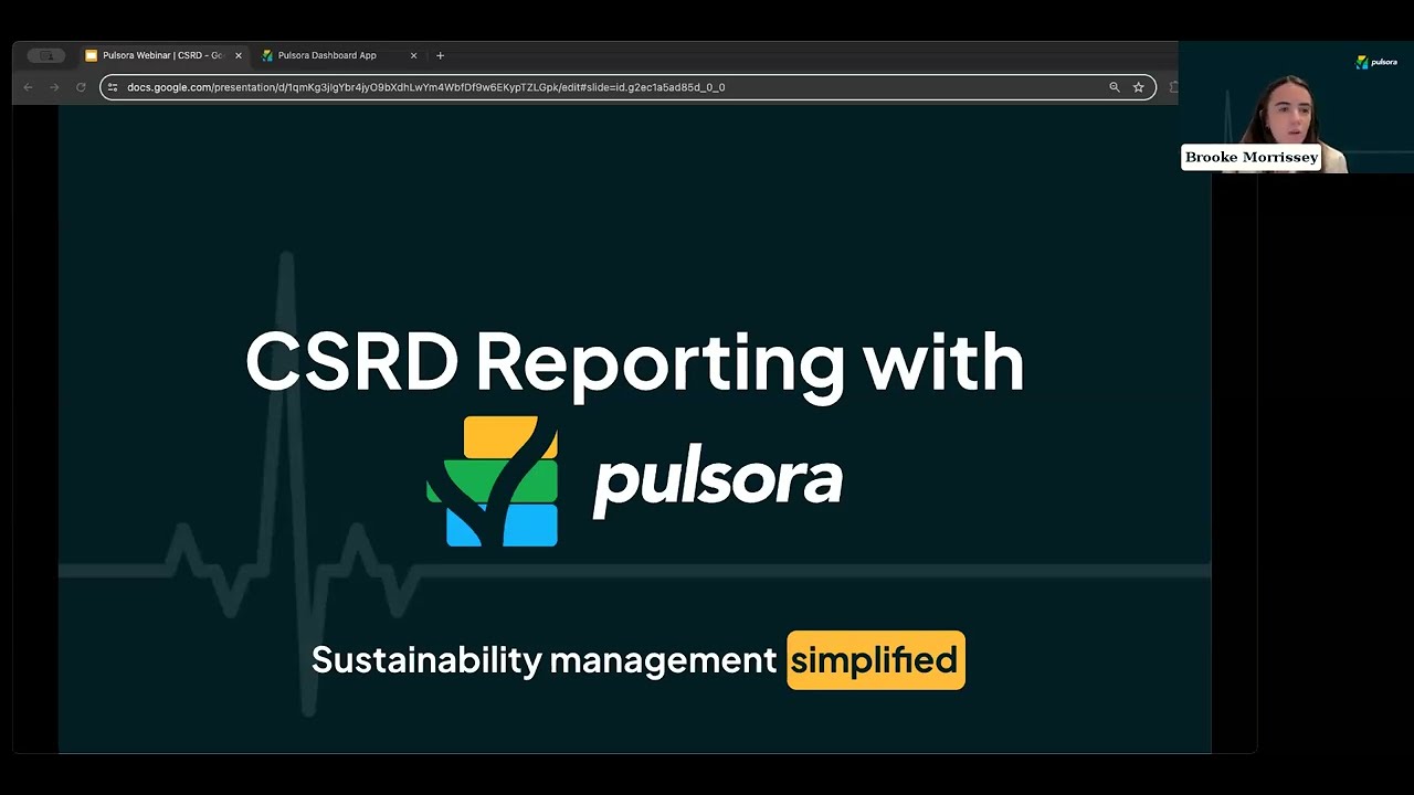 CSRD Reporting Software Demo: Pulsora Product Tour