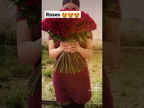 #boutique #flowers #foryou #florists #fyp #heart #instagram #love #reaction #remix #youtubeshorts