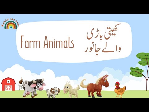 Farm Animals in English and Urdu | Vocabulary | کھیتی باڑی کے جانور