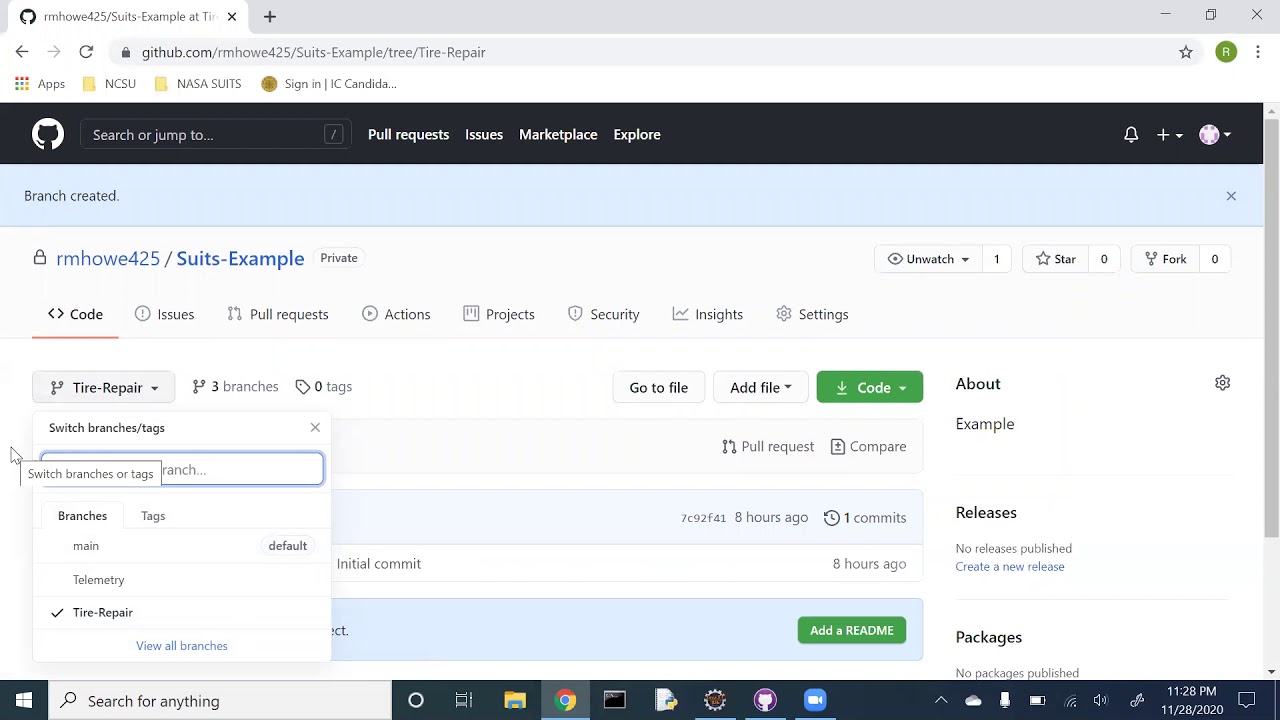NASA Suits GitHub Branches