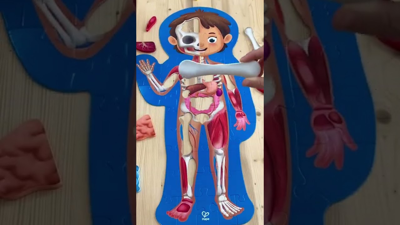 Maletín Puzzle Cuerpo Humano