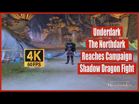 Steam Community :: Video :: Neverwinter 2024 MMO Chronicles Underdark ...