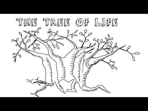 Discovering the tree of life | California Academy of Sciences