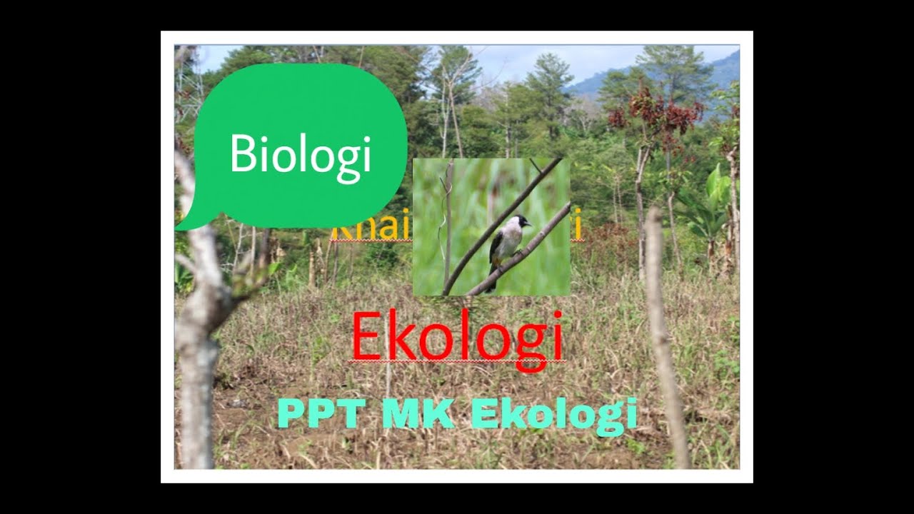 Materi ekologi # PPT ekologi
