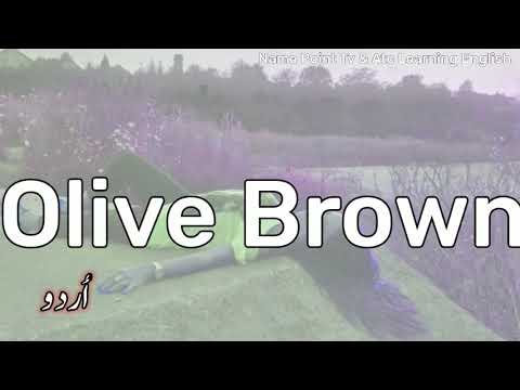 Olive Brown Meaning In Urdu | Olive Brown Meaning | Olive Brown Ka Matlab Kya Hota Hai | Olive Brown
