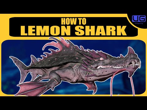 Steam Community :: Video :: How To Lemon Shark In Depth