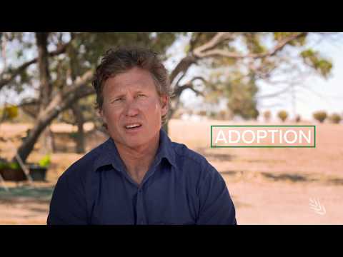 A grower's approach to overcoming non-wetting soils