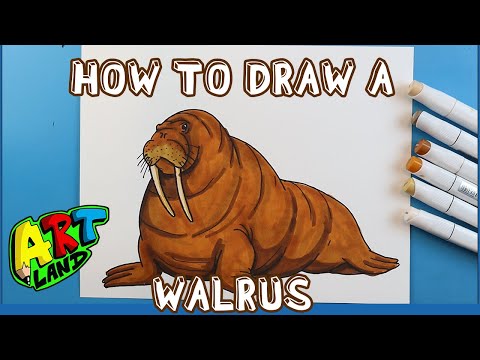 How to draw a Realistic Walrus Step by Step – I'm Youtuber – Follow my ...