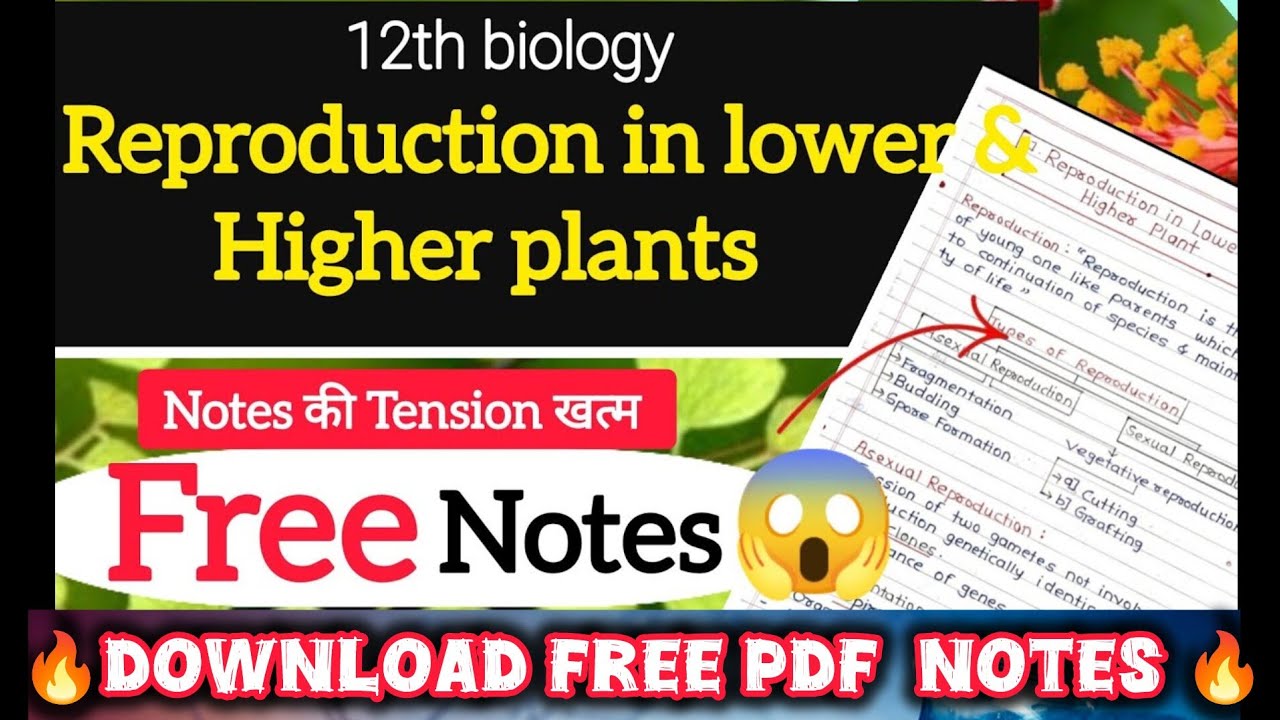 reproduction in lower and higher plants |notes📝🔥| class 12 reproducti in flowering plants| #biology 