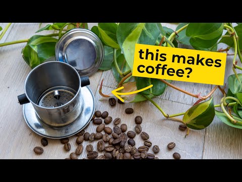 What is Vietnamese coffee? how to use phin? BOLD coffee you must try!