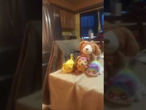 what should I name my stuffed animals
