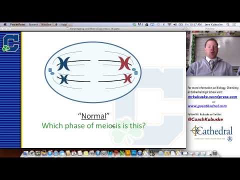 Karyotyping & Genetic Disorders