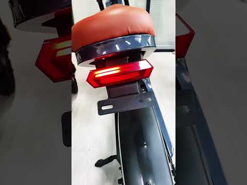 E600 Electric Bike Review 🔥 Powerful 1000W Motor | Long Range Commuter E-Bike 2025!