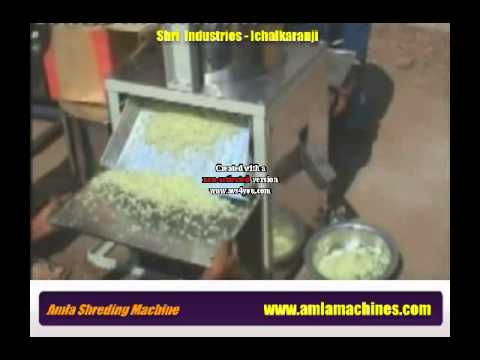 Amla Processing Machine at Best Price in India