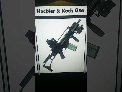 36th HK G36 Assault Rifle returns to Polywar