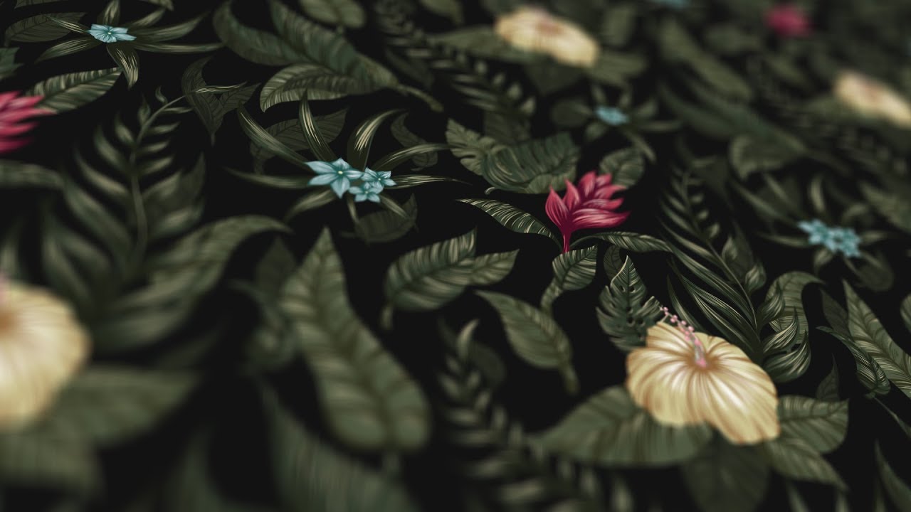 Tropical Pattern - Timelapse