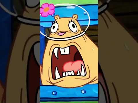 Cursed images sponge-bob memes