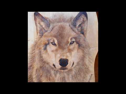 Pyrography works by Frangioni Roberto