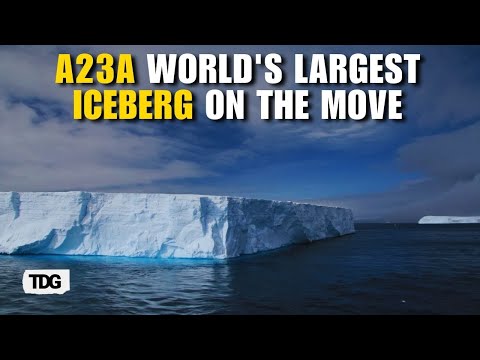 A23a, the World’s Largest Iceberg, Is on the Move - Will It Impact Shipping Routes?