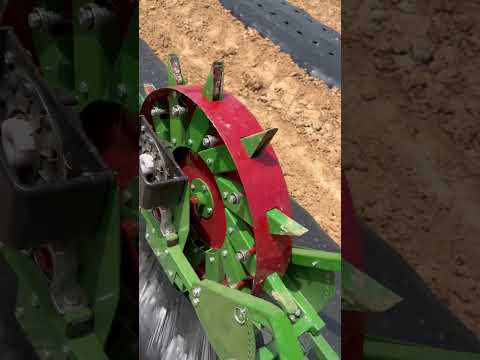 Champion seeder planting sweet corn