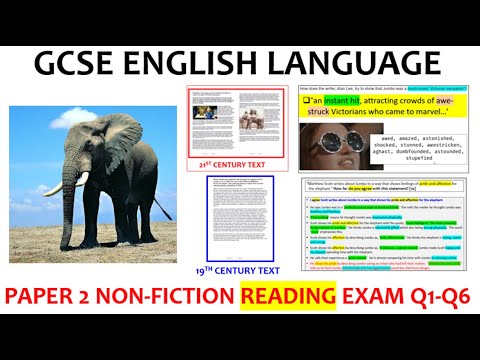 Jumbo the elephant paper 2 reading exam paper | BPC English