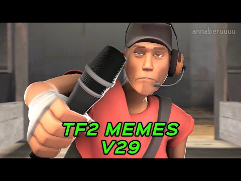 TF2 MEMES V29