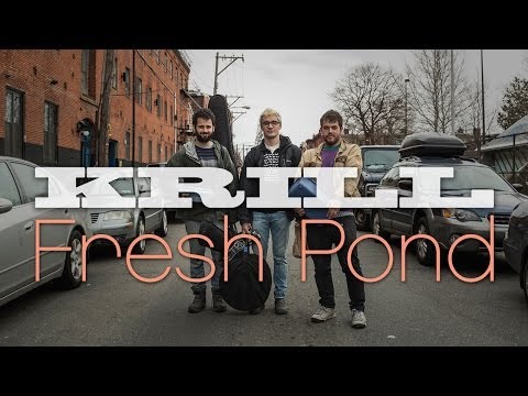 The Ghost Of Krill, A Beloved Boston Band, Returns In The Form Of Knot ...
