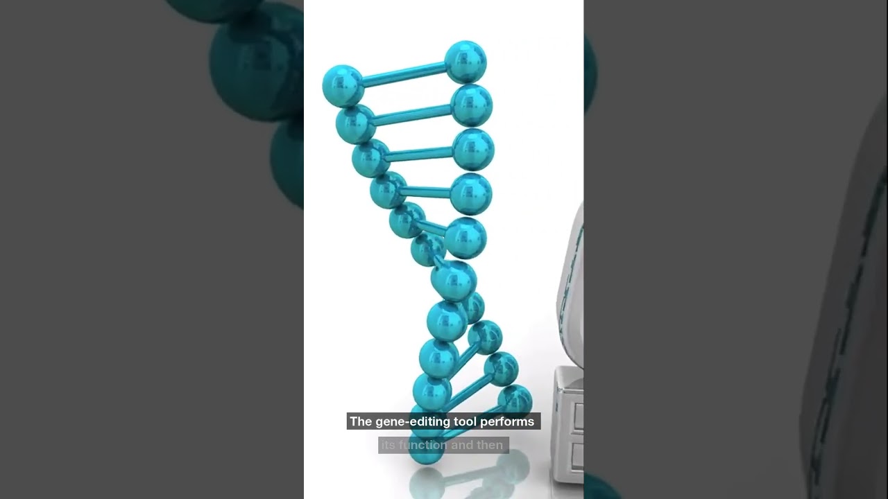 🌳 Gene-Edited Poplar Trees—A Breakthrough in Sustainable Forestry!
