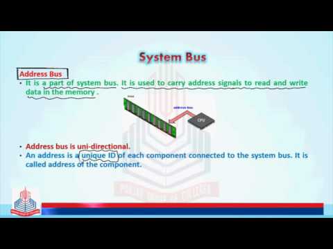 Computer Buses and their types