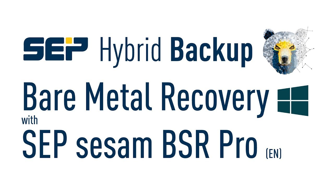 SEP sesam | Bare Metal Recovery of Windows Systems (Lang_EN)