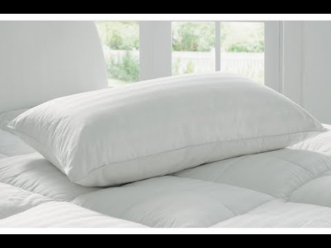 Recron Bed Pillows - Latest Price, Dealers & Retailers in India