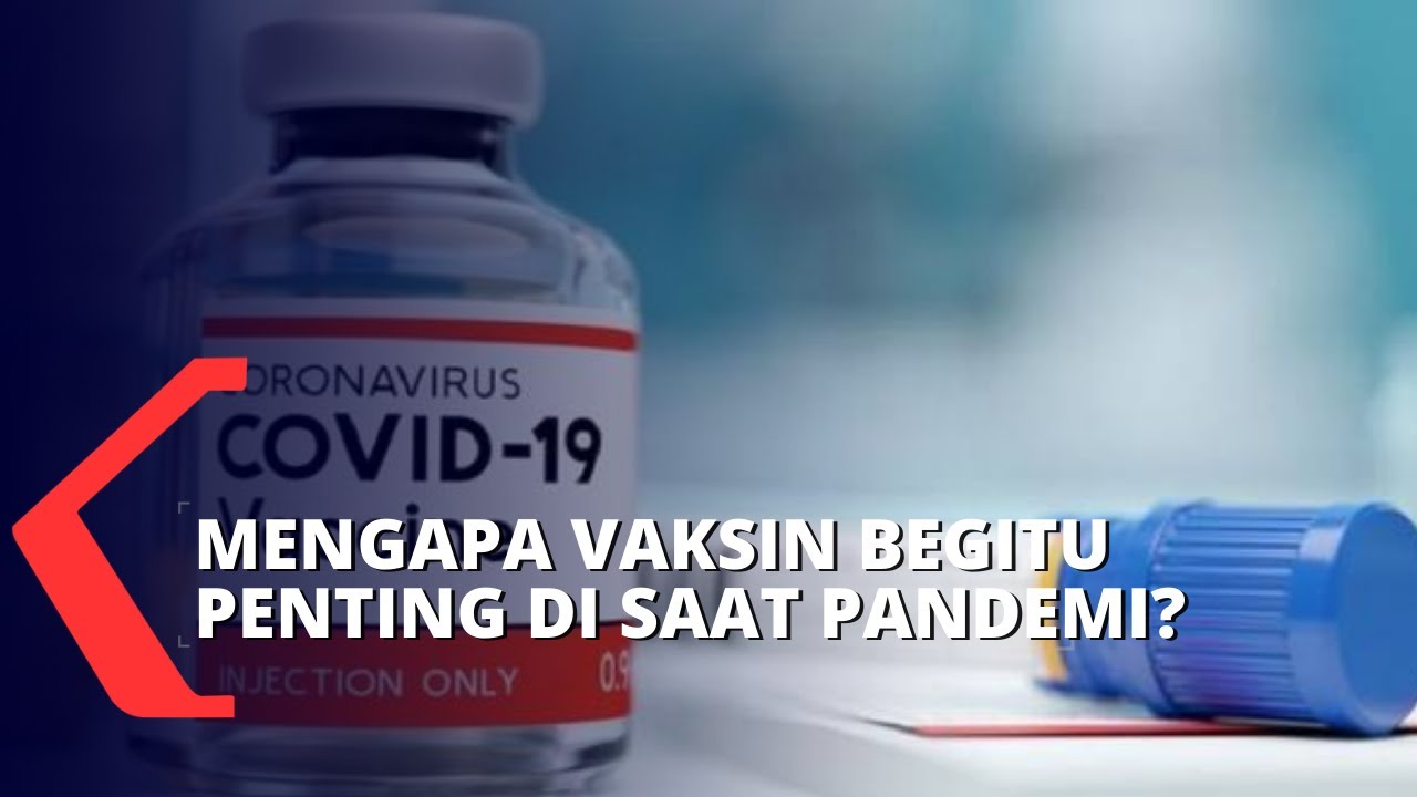 Mengapa Vaksinasi Begitu Penting di Saat Pandemi Covid-19?