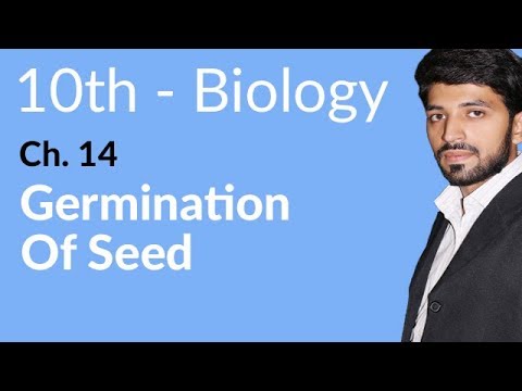 10th Class Biology, Germination of Seed-Biology Chapter 14 - Biology 10th Class