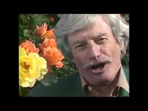 L' AMOUR EST CERISE VOSE ENGLISH TRANSLATION IN COMMENTS