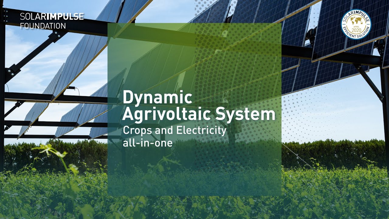 Dynamic Agrivoltaic System - Crops & Electricity all-in-one