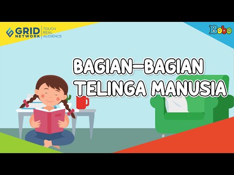 Fakta Menarik - Bagian-Bagian Telinga Manusia, dari Telinga Luar Sampai Telinga Dalam