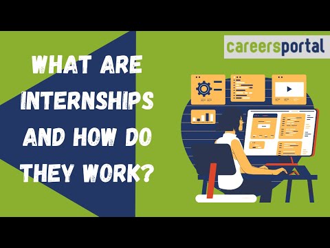 What Are Internships And How Do They Work | Careers Portal