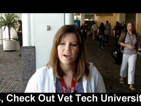 Online Vet Tech Schools