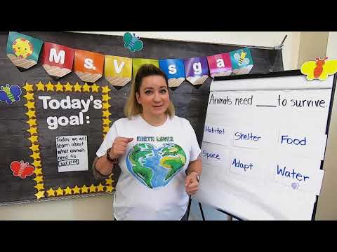 Animal Week: Habitats