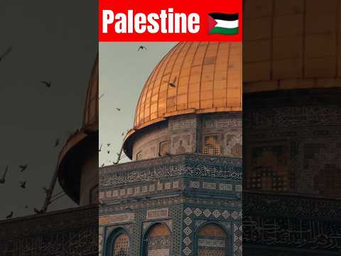 Palestine???????? #shorts #shortsfeed #palestine
