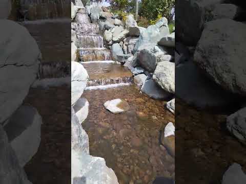 respect#shorts Waterfall in the Japanese Garden! #Japanese Garden #city #Krasnodar #ParkGalitsky