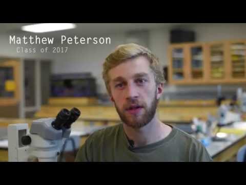 Summer Research: Surveying Ground Beetles