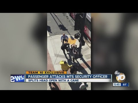 Team 10: Passenger attacks MTS security officer