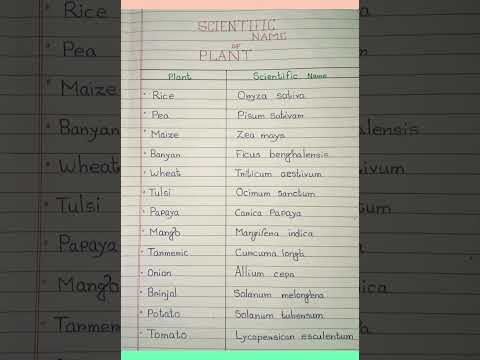 Scientific Name of Plants🪴| #gk #generalknowledge #staticgk