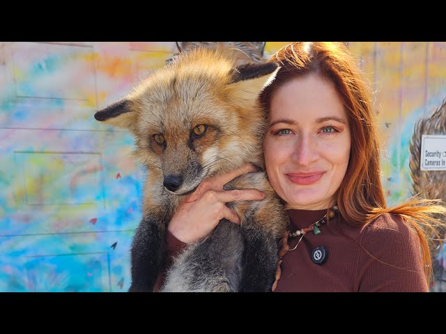 YouTuber Mikayla Raines aka SaveAFox's cause of death revealed almost a ...