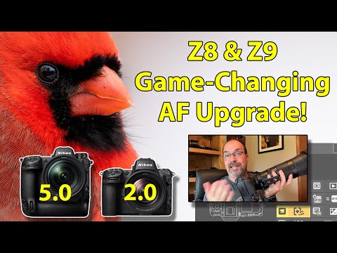 Nikon Z8 v2.0 & Z9 v5.0: Game changing AF update (1695)